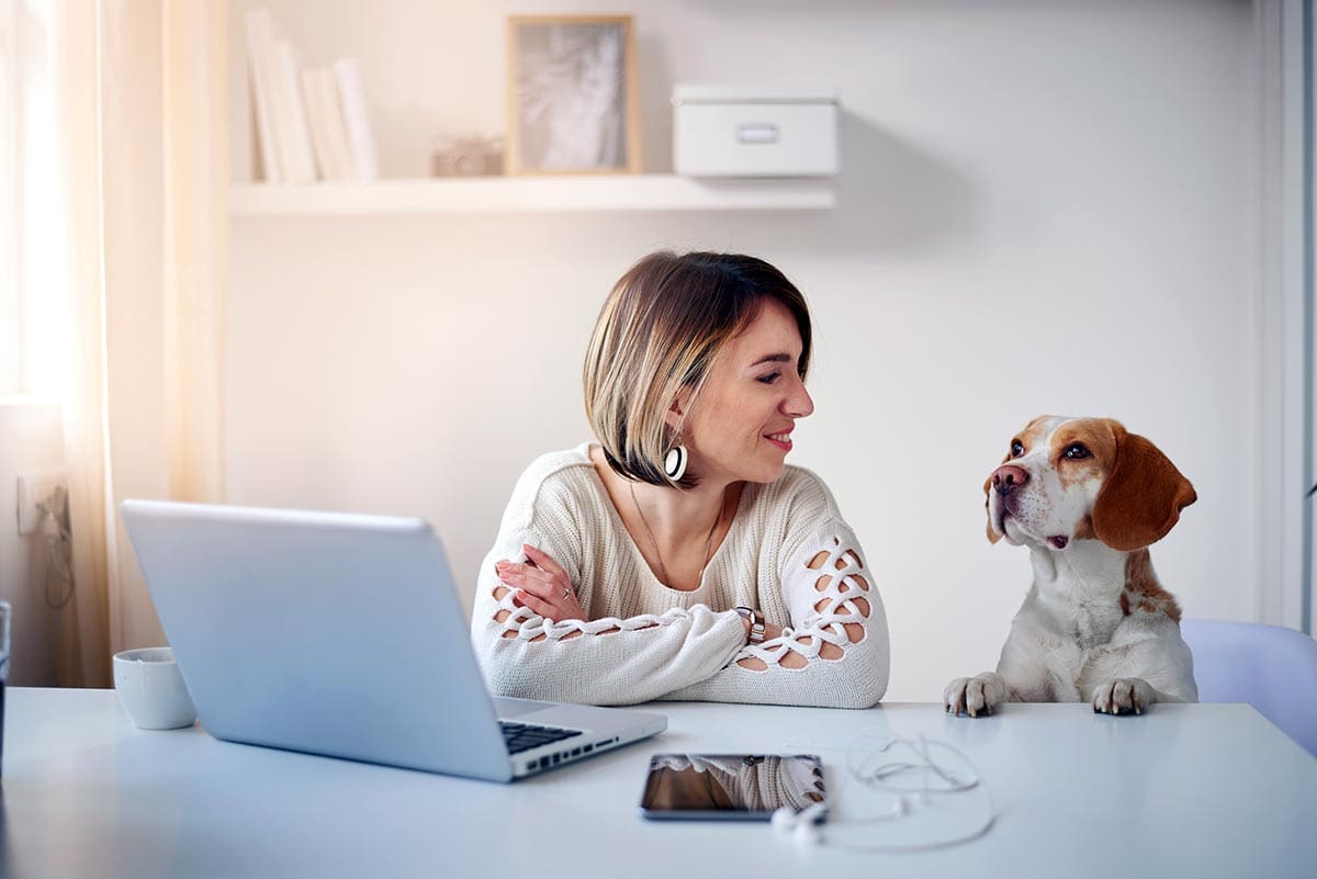Client Forms | Partners Animal Hospital - Fruitville